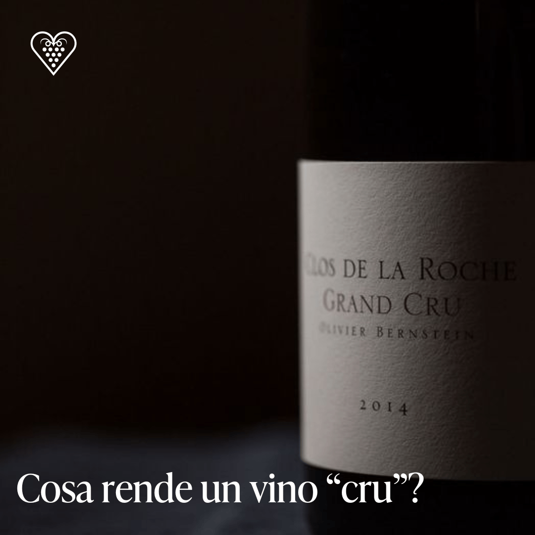 Cosa rende un vino “cru”? – Carta dei Vini